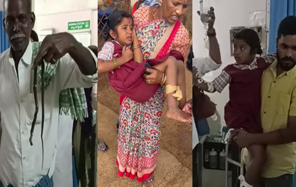 Ranga Reddy : పాము కాట్లకు గురవుతున్న విద్యార్ధులు.. పట్టించుకోని ...