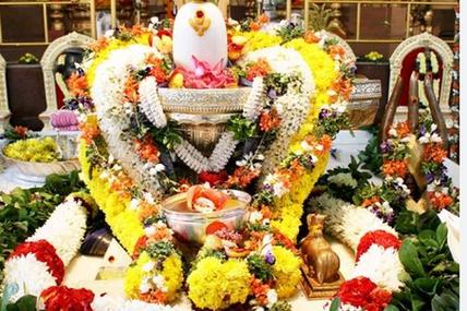 Nagamalli Flower : భోళాశంకరుడు మెచ్చిన నాగమల్లి పుష్పం - BigTvLive