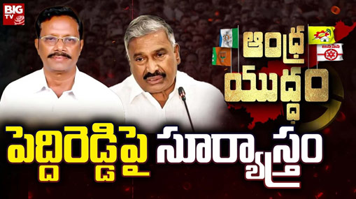 MLA Koneti Adimulam : పెద్దిరెడ్డిపై సత్యవేడు ఎమ్మెల్యే ఫైర్.. కోనేటికి ...