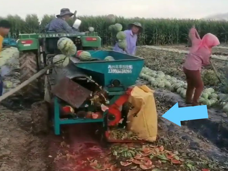 Viral Video : పుచ్చకాయల్ని మెషీన్ లో వేసి క్రాషింగ్.. ఫైరవుతున్న ...