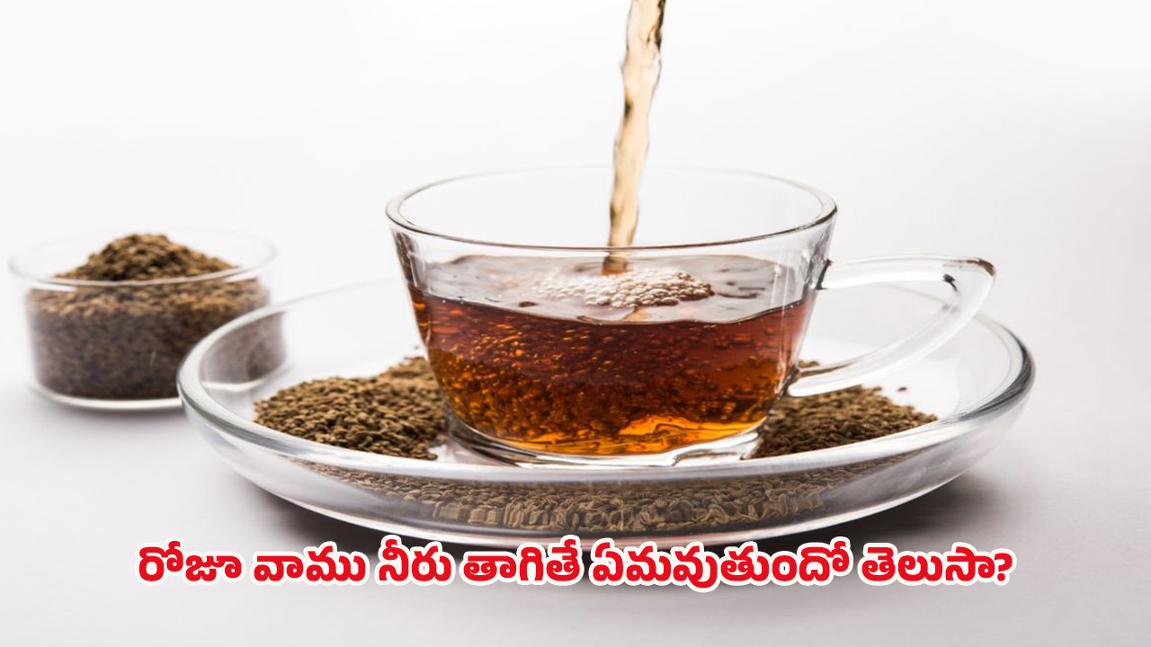 Vamu Water Benefits: ఖాళీ కడుపుతో వాము నీరు తాగితే..