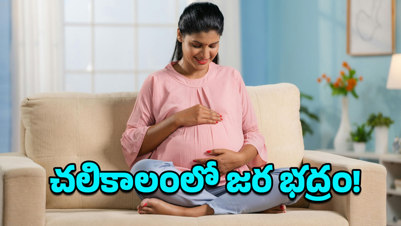 Pregnant Women Health Tips: గర్భిణులు తీసుకోవాల్సిన జాగ్రత్తలివే!