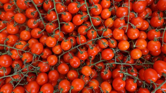 Tomatoes - టమాటాలు తింటే కిడ్నీలో రాళ్లు వస్తాయా? ఇది ఎంతవరకు నిజం?