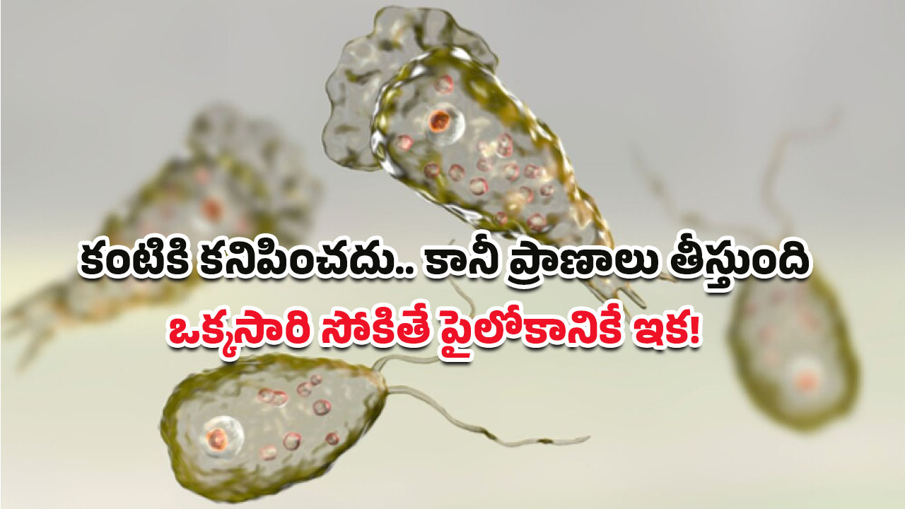 Brain Eating Amoeba: ప్రపంచాన్ని భయపెడుతున్న సూక్ష్మజీవి..!